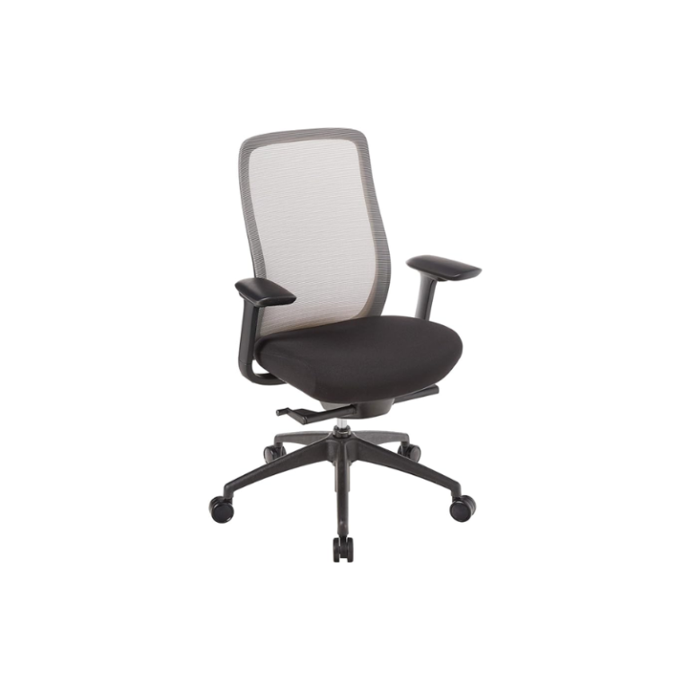 Best Lumbar Support Office Chair in 2024? We've Got the Answer! | Mige ...