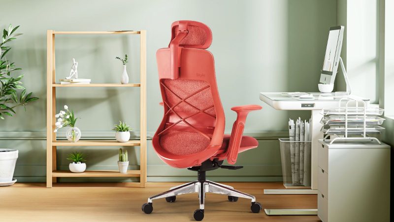 Best Office Chair for Neck Pain: Top 10 Picks That Really Work | Mige ...