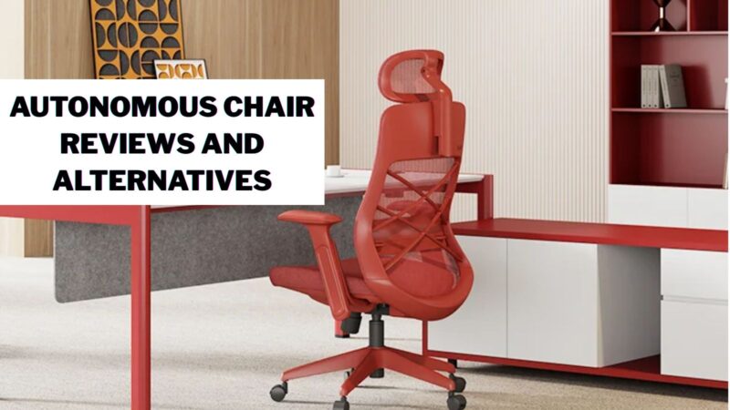 Is The Autonomous Chair Worth It? Reviews And Alternatives