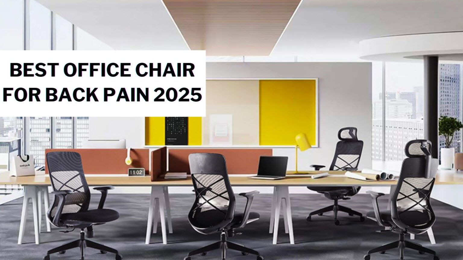 Best Office Chair For Back Pain 2026 | Pro Ergonomic Guide