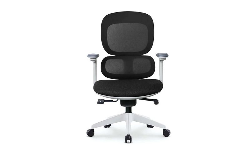 Best Ergonomic Chair for Back Pain 2025